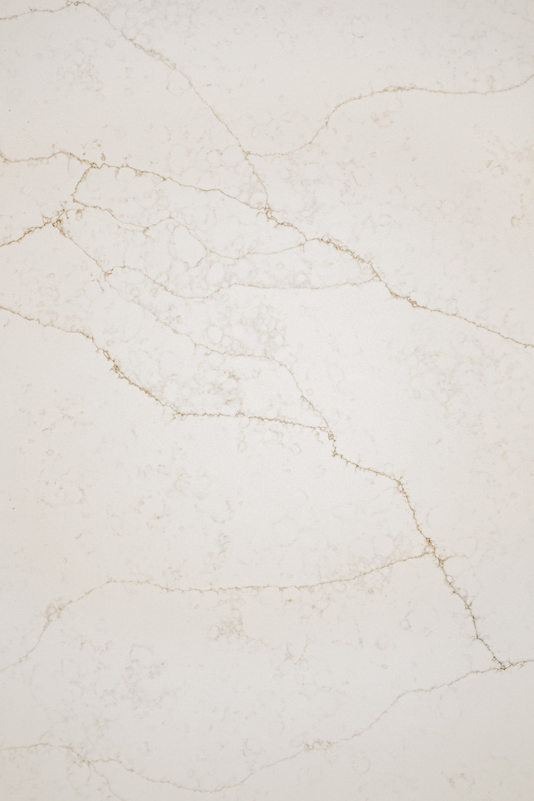 Best Photography Backgrounds | Maeve: Warm & Light Rollable Photo ...