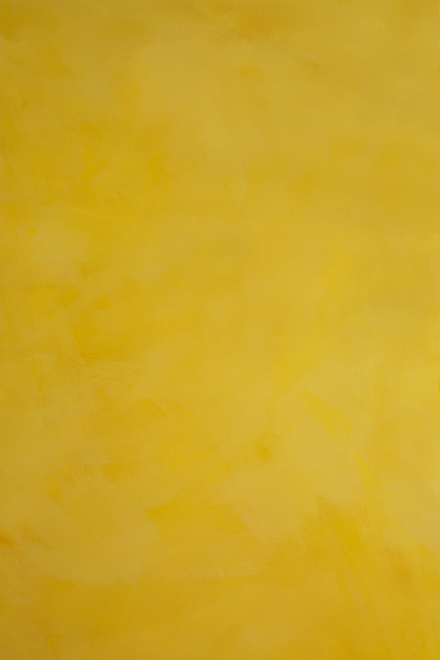 Best Photography Backgrounds | Big Bold Color Bundle – Poppy Bee Surfaces
